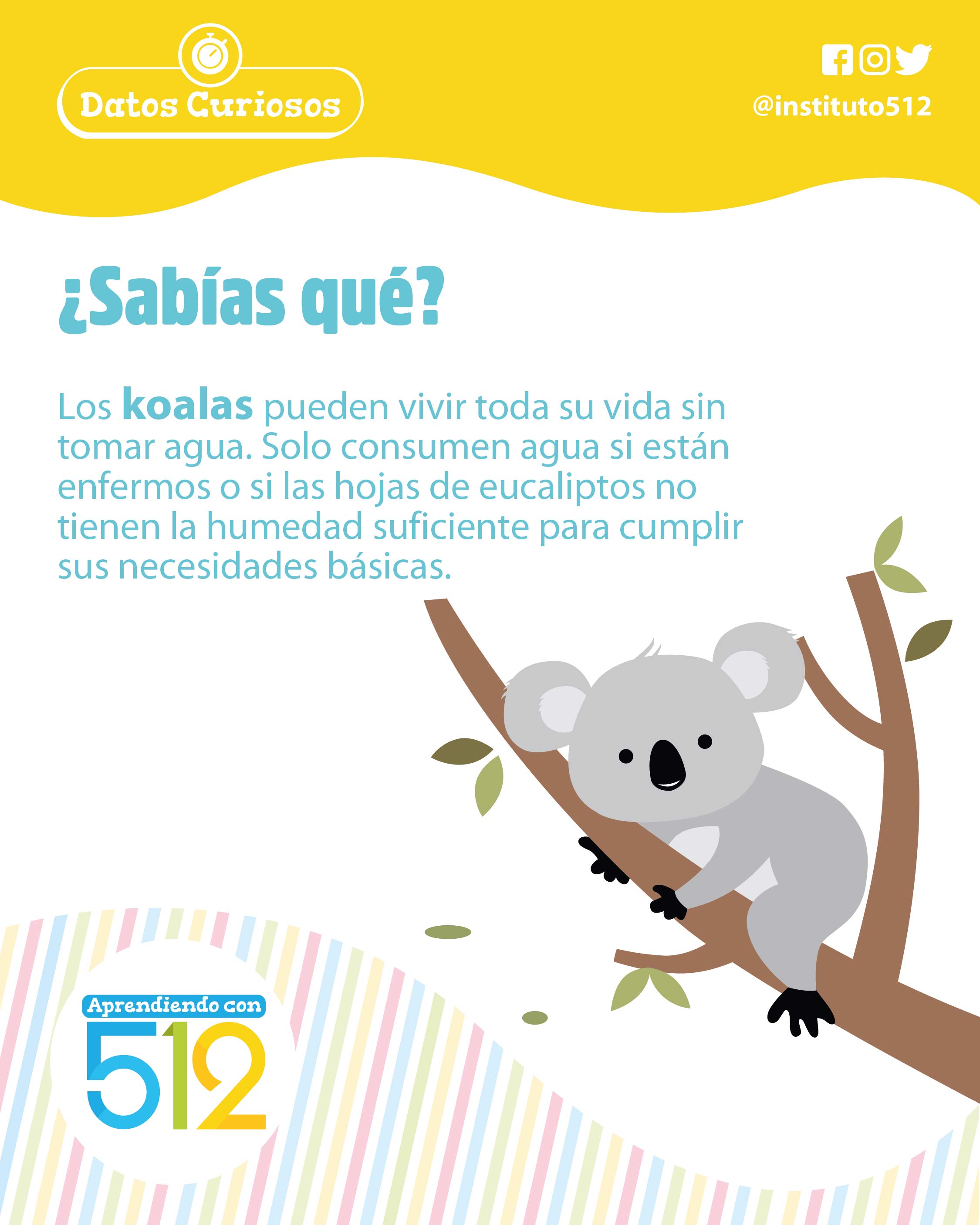 Koalas - Aprendiendo con 512