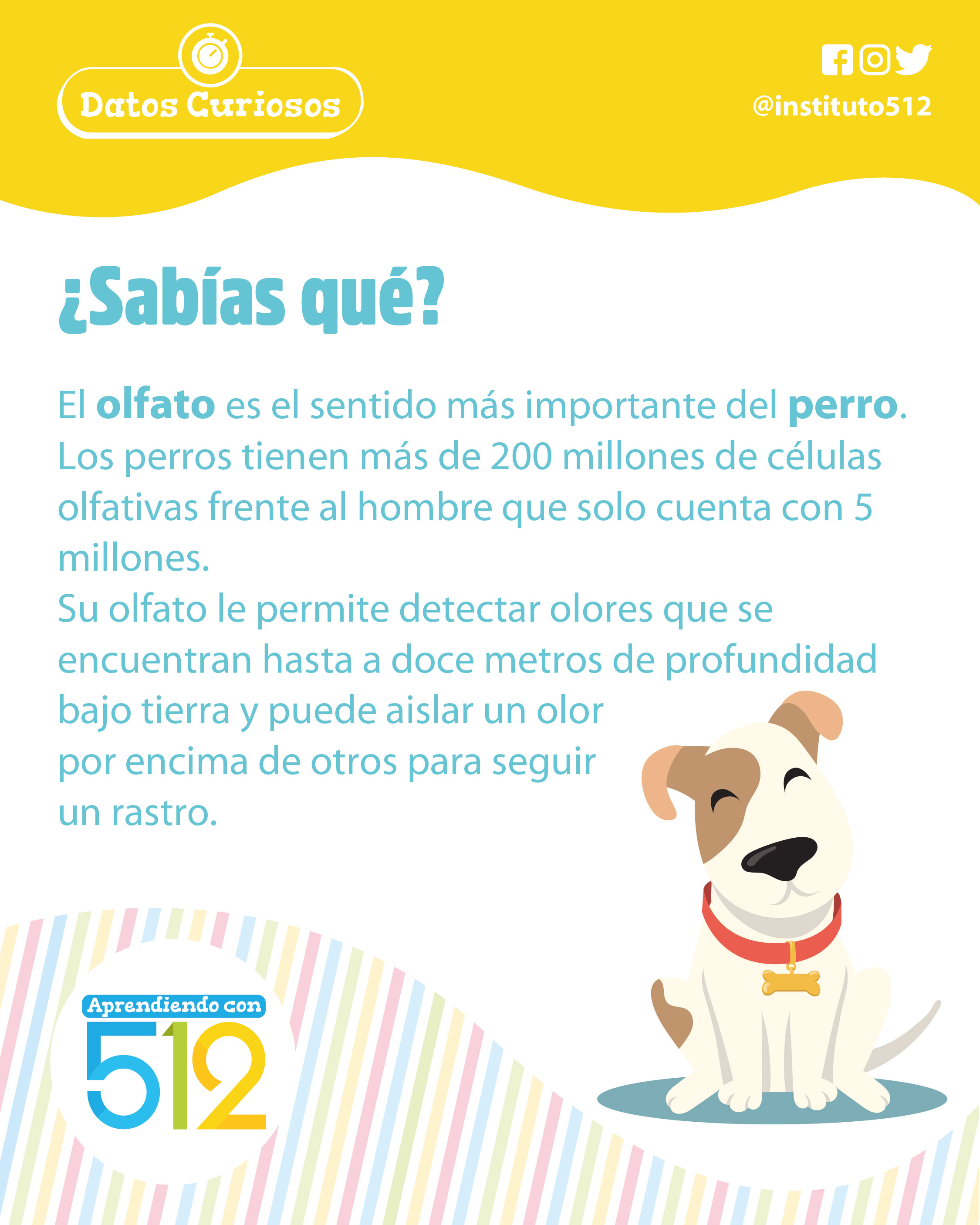 Olfato del Perro - Aprendiendo con 512